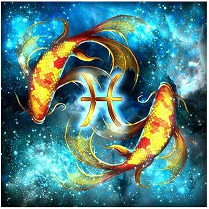 Sterrenbeeld vissen | Diamond painting – De Diamond Painter